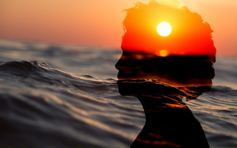 ¿Qué es el instinto de supervivencia? - Plataformasinc.es