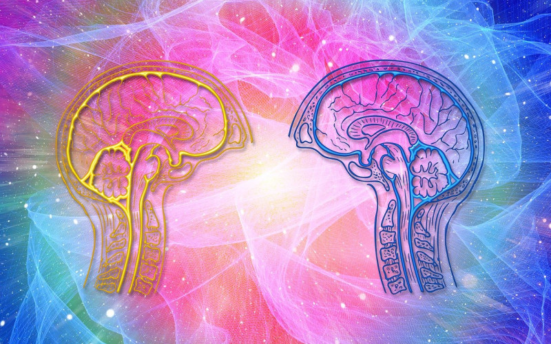 Qué es el subconsciente y cómo funciona - Plataformasinc.es
